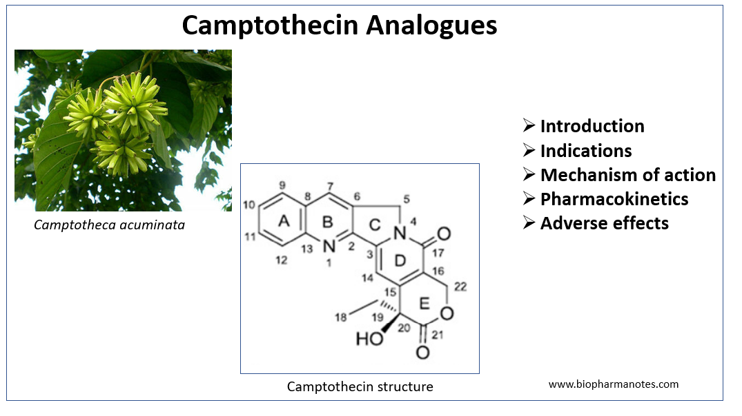 Camptothecin Analogues - BioPharma Notes