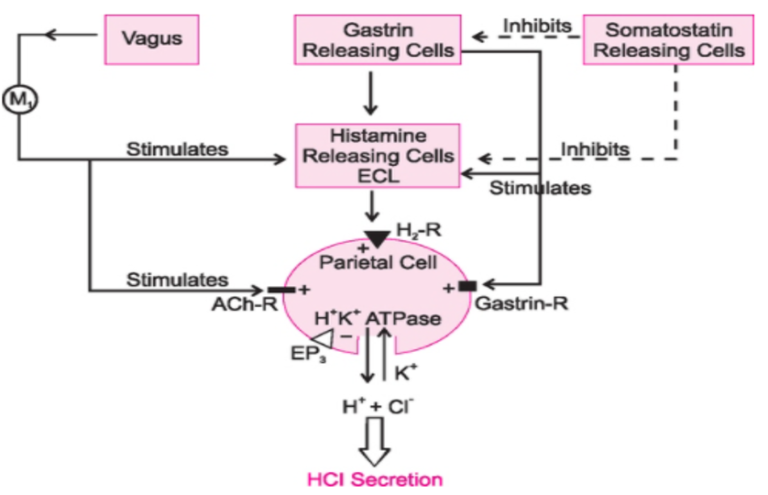 Famotidine - BioPharma Notes