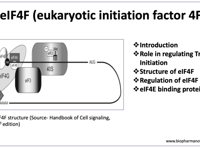 Molecular Biology Archives - BioPharma Notes