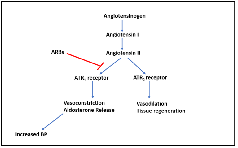 Losartan Pharmacology - BioPharma Notes