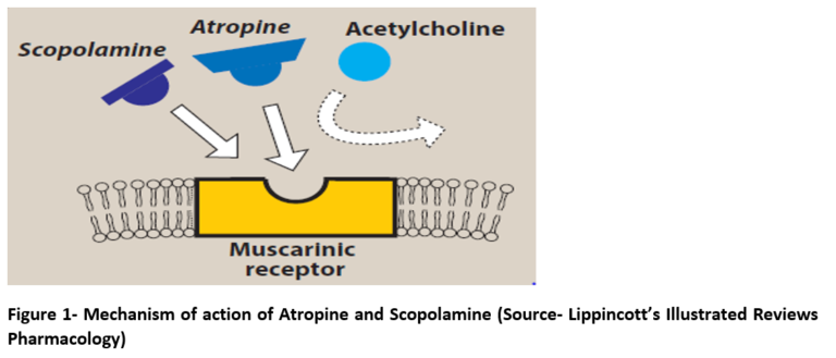 Atropine - BioPharma Notes